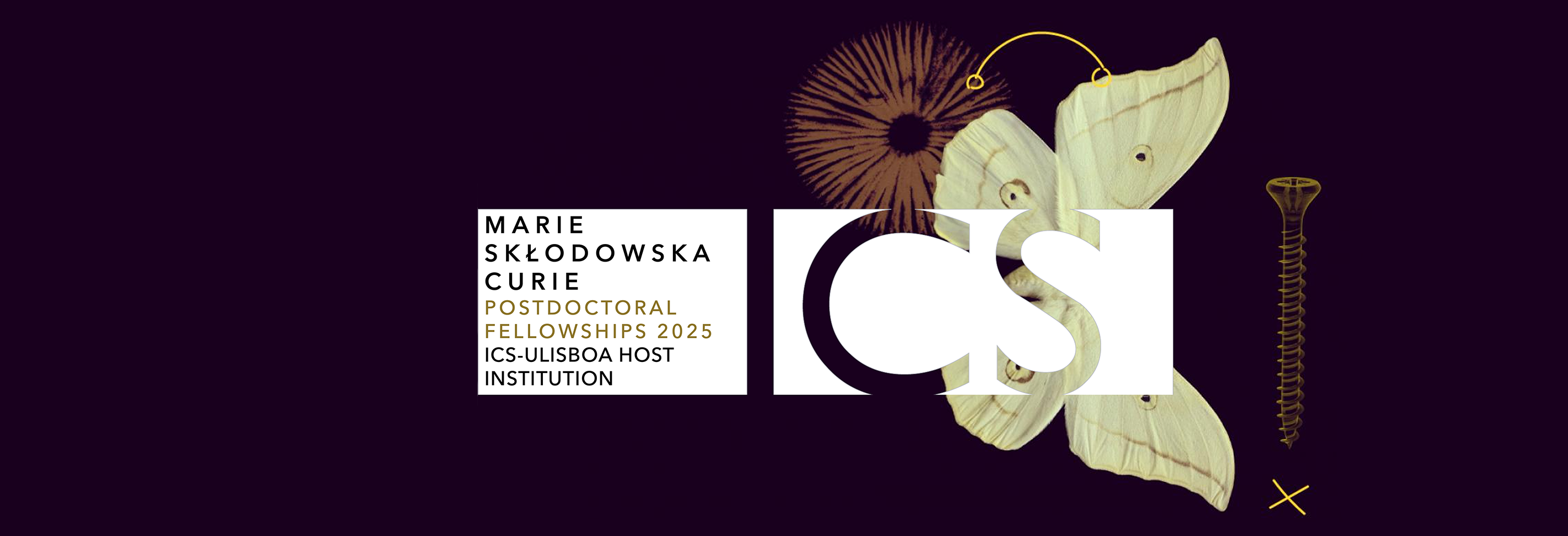 Call for expressions of interest: Marie Skłodowska-Curie Postdoctoral ...